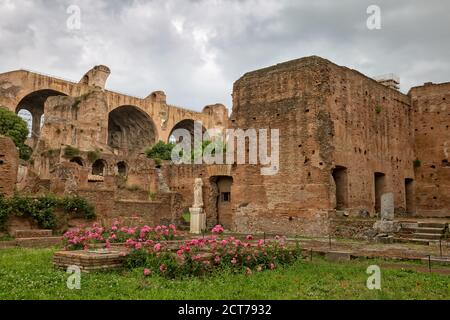 atrium of old italian stone house, Italy, Tuscany, Val d' Orcia Stock ...