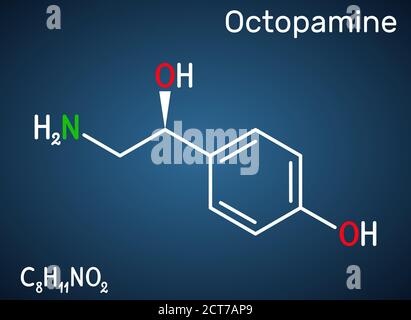Octopamine molecule. It is biogenic phenylethanolamine, sympathomimetic ...