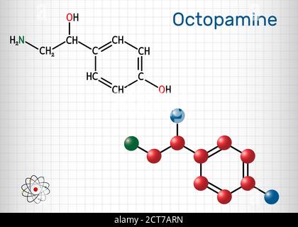 Octopamine molecule. It is biogenic phenylethanolamine, sympathomimetic ...
