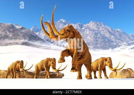 A mammoth is any species of the extinct genus Mammuthus, proboscideans ...