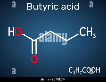 Butyric acid, butanoic acid molecule. Butyrates or butanoates are salts ...