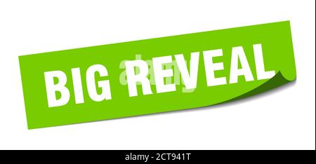 big reveal sticker. big reveal square isolated sign. big reveal label ...