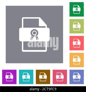 Certificate file flat color icons in square frames on white background ...