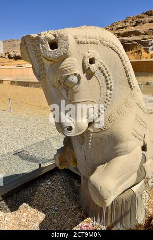 Bull capital, Persepolis, Persepolis, Iran Stock Photo - Alamy