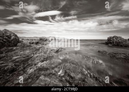 New Zealand, Wellington, Red Rocks Reserve Stock Photo - Alamy