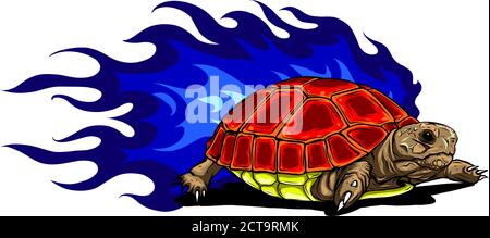Vector illustration of Cartoon tortoise, Sulcata tortoise Stock Vector ...