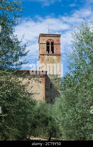 Castelmuzio, Tuscany, Italy Stock Photo - Alamy