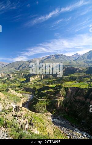 Colca Valley, Arequipa, Peru, South America Stock Photo - Alamy