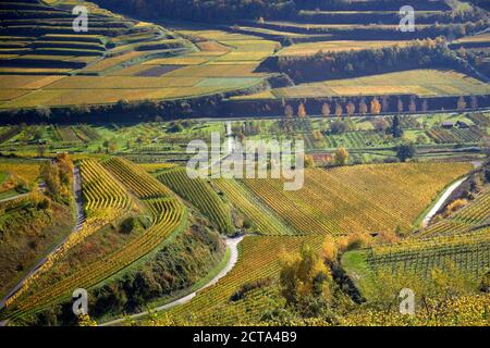 View to the vineyard terraces near Oberbergen, Kaiserstuhl, Breisgau ...