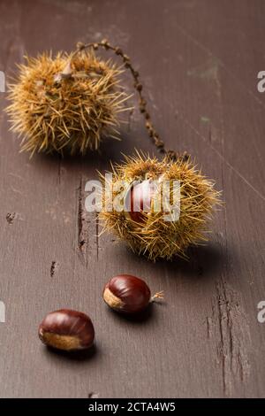 close on sweet chestnuts on a wooden background Stock Photo - Alamy