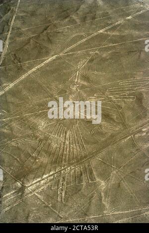 Aerial view of the condor geoglyph drawing in the peruvian coastal ...