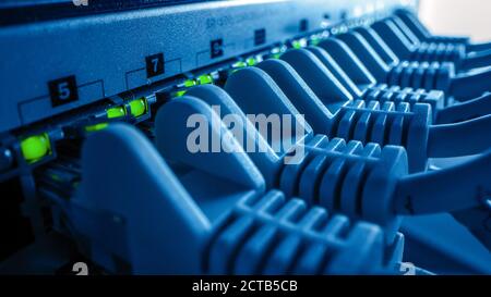 Macro Shot: Ethernet Data Center Cables Connected to Router Ports with ...