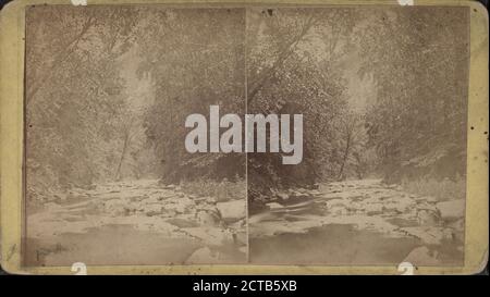 Looking down Lower Ravine, 2d view, by C. M. Marsh Stock Photo - Alamy