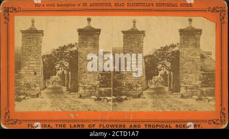 City gates, looking into St. George Street, from Robert N. Dennis ...