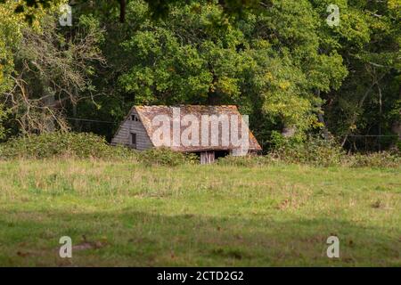 Slightly run down Estate buildings Stock Photo - Alamy