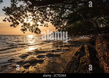 Ocean gleaming under the sunset - great for wallpapers Stock Photo - Alamy