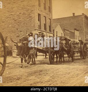 Red river ox carts Red river ox carts.; Red river ox carts Stock Photo ...