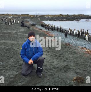 Photographer in king penguin colony. Group of King penguins, animals in ...