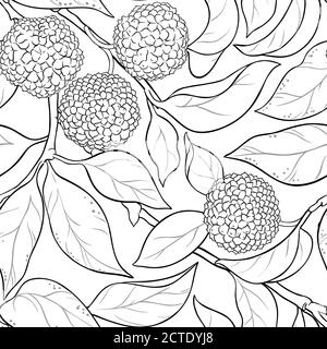 calodendrum vector pattern on white background Stock Vector Image & Art ...