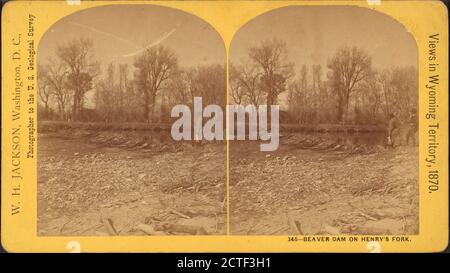Beaver dam on Henry's fork, by Jackson, William Henry, 1843-1942 Stock ...
