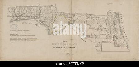A plat exhibiting the state of the surveys in the territory of Florida ...