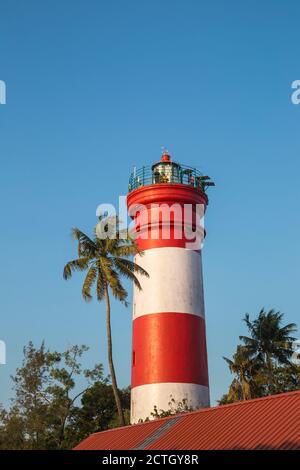 Alleppey Lighthouse and palm trees, Kerala, India, Asia Stock Photo - Alamy