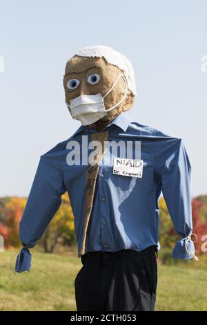 A Dr. Fauci look-alike scarecrow by "Valerie", an entry in the 2020 ...