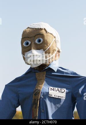 A Dr. Fauci look-alike scarecrow by "Valerie", an entry in the 2020 ...
