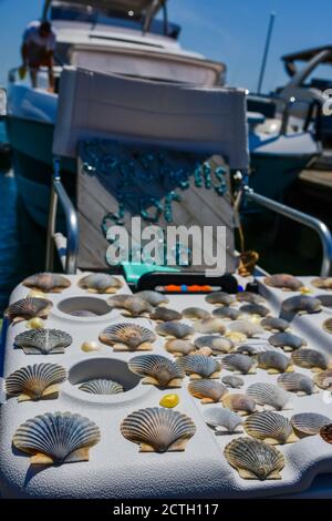 Kids selling sea shells near the ocean Stock Photo - Alamy