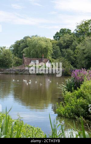 Summer south pond at Midhurst, West Sussex Stock Photo - Alamy
