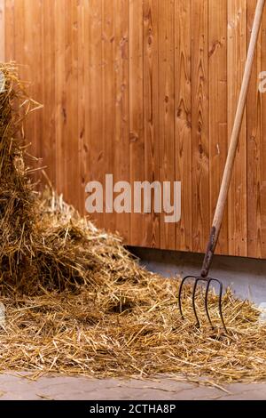 an old pitch fork stuck in a straw bale isolated on white Stock Photo ...