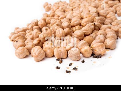 Multiple bean weevils or cowpea bettle on chickpeas. (Acanthoscelides ...
