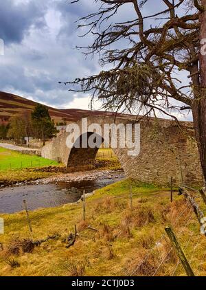 Stone wall arch over a woodland path in spring with Wild Garlic in ...