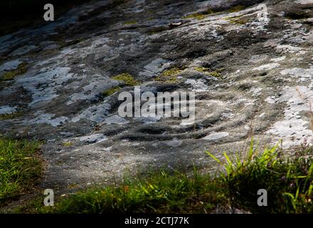 Cup and ring markings near Roughing Linn, near Ford in rural North ...