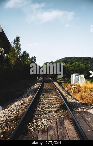 Railroad line surrounded by green vegetation Stock Photo - Alamy