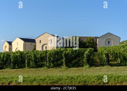The Disznoko Winery, Tokaj region, Hungary Stock Photo - Alamy