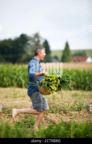 Mature man holding vegetables in wooden crate Stock Photo - Alamy
