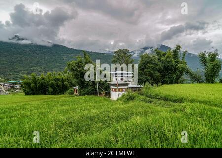 Rice field and Bhutanese Village in Punakha, Bhutan, Asia Stock Photo ...