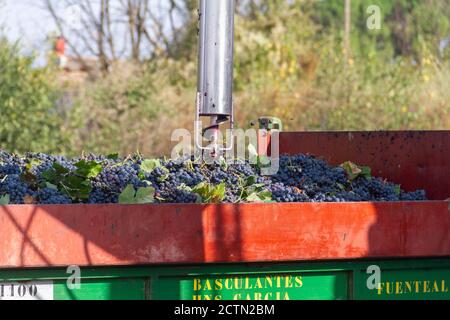 Automatic sampler for trucks extracts grapes from the vintage to ...