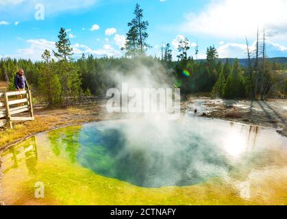 Colorful Morning Glory Pool - famous hot spring in the Yellowstone ...