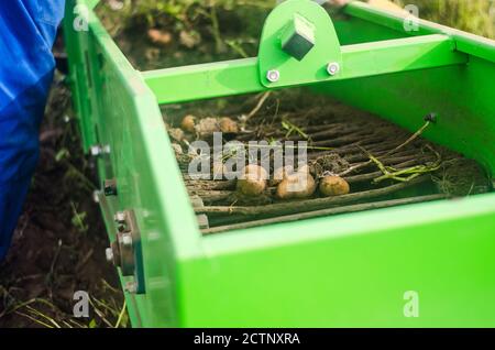 Potato digger machine working on field, lifting potatoes from soil ...