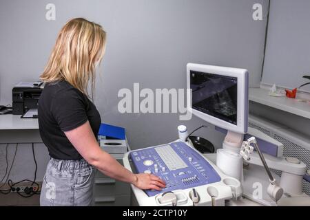 Veterinarian use ultrasound machine at the modern laboratory in Minsk ...