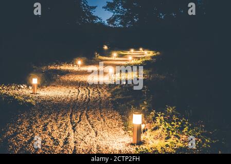 Twinkling lights at night @ The Reading Rooms, Alby, Norfolk Stock ...