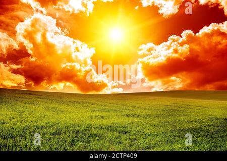 Corn Plantation Farm on Spring Sunny Day Next a Highway in Brazil ...