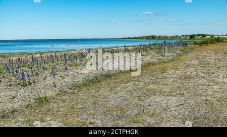 landscape with traditional coastal view, Saaremaa Island, Estonia Stock ...