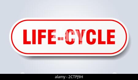 life-cycle sign. rounded isolated sticker. white button Stock Vector ...