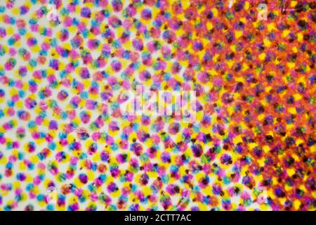 Microscopic view of CMYK printer dots Stock Photo - Alamy