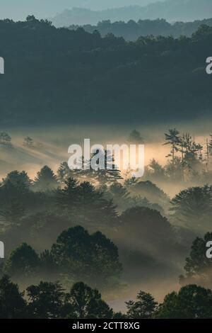 FOG IN THE HOLLOWS OF BLUE RIDGE MOUNTAINS, NORTHWEST GA, USA Stock ...