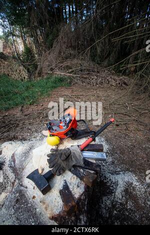 tree felling tools Stock Photo - Alamy