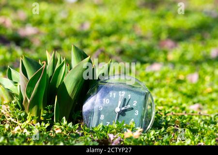 the transition to summer time, the arrival of spring, the clock on the ...